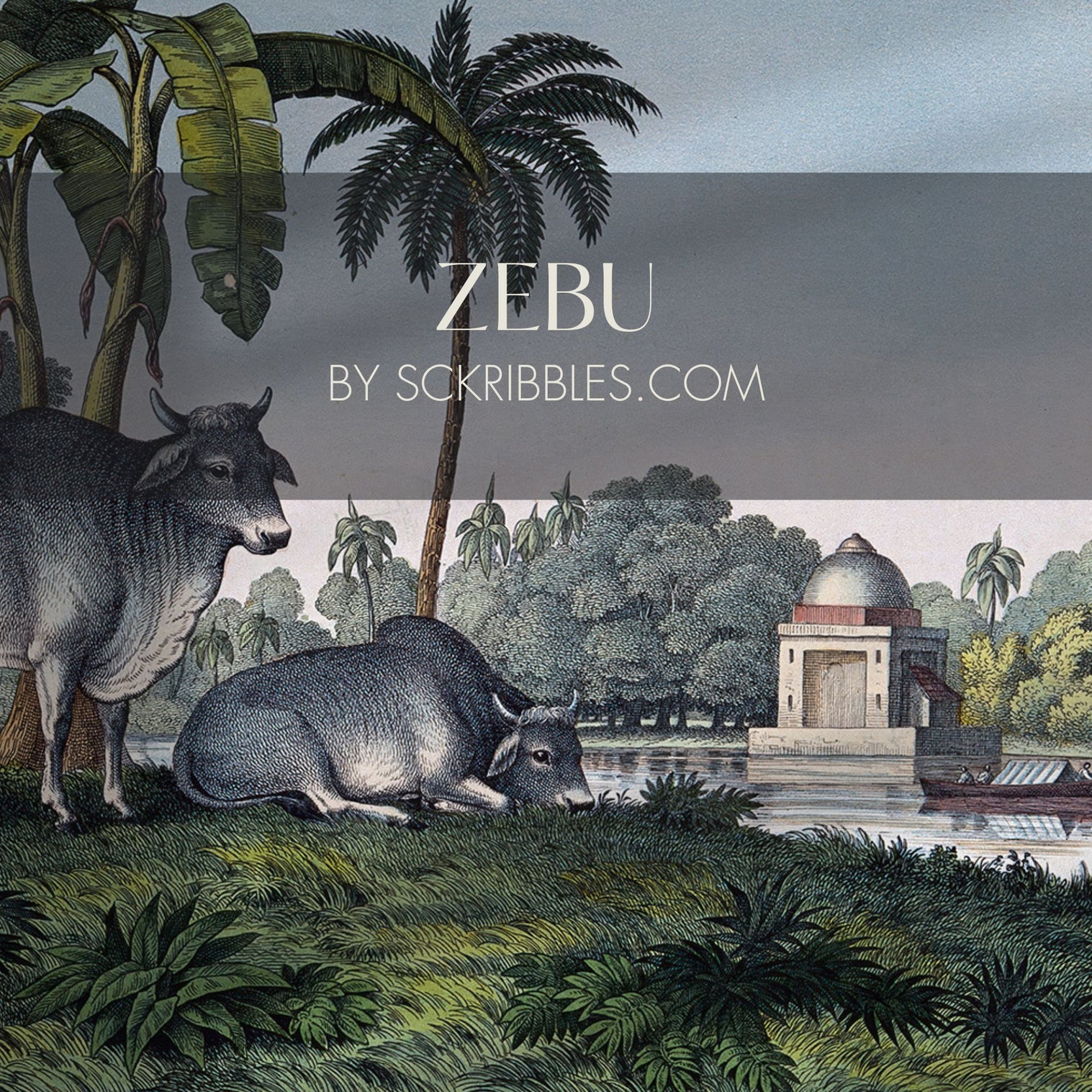 Scenic Tropical Palm Trees with Cattle Wallpaper Mural {Zebu} – Sckribbles